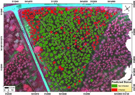 Figure 3 From Uav Based Multispectral Data For Tree Species