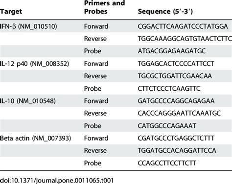 Primers And Probes Used For Real Time Pcr Analysis Download Table