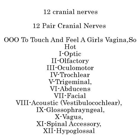 12 Cranial Nerves Mnemonics Cranial Nerves Mnemonic Cranial Nerves