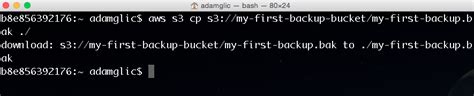 how to script the backup of files to amazon s3 aws
