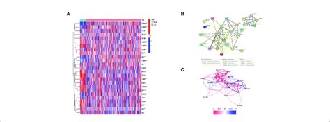 Expressions Of The 25 Differentially Expressed Pyroptosis Related