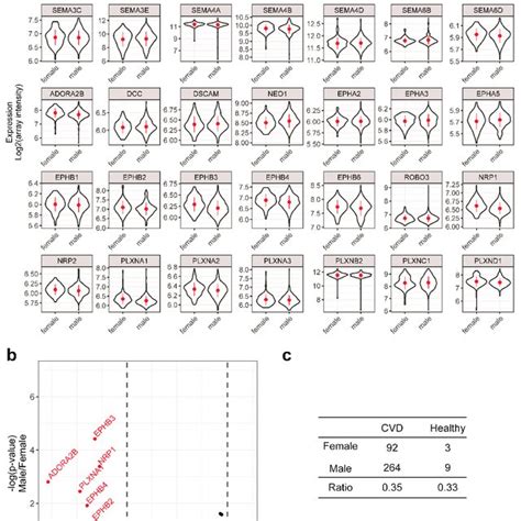 Inspection Of The Influence Of Sex As A Potential Confounding Factor
