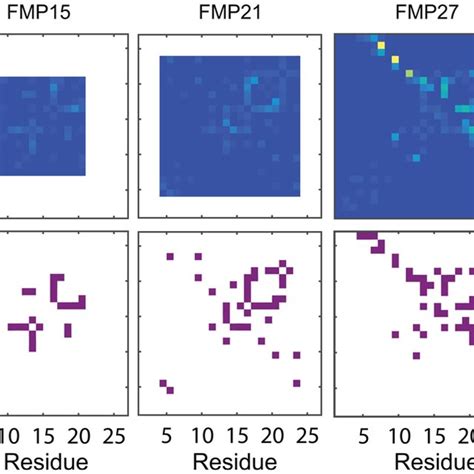 Molecular Dynamics Simulations Illustrate Intrachain Hydrogen Bond