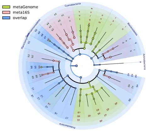 宏基因组学是什么？16s 测序和宏基因组测序分析有哪些？ 晶羽科技