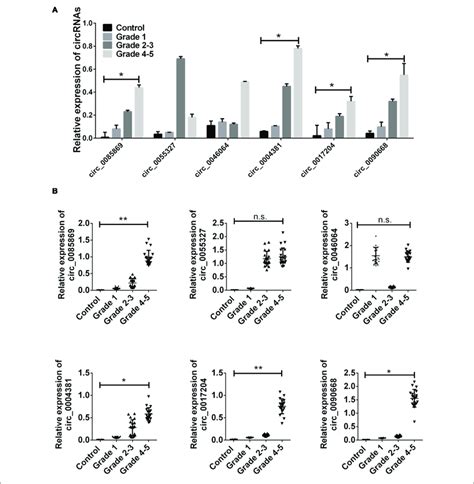 Circrna Expression In Training Set A The Relative Expression Level