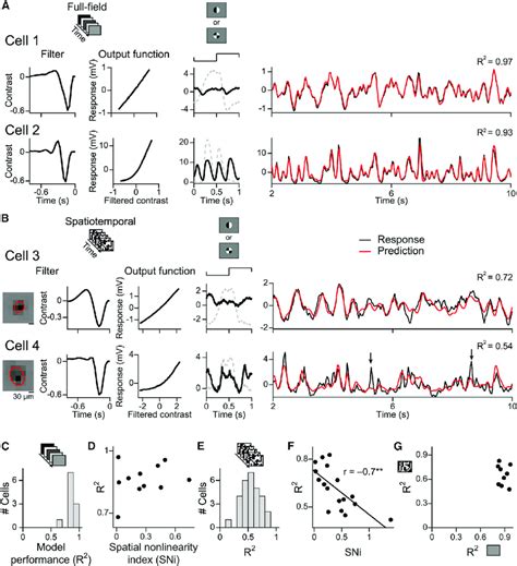 Nonlinear Spatial Integration Limits The Prediction Accuracy Of The