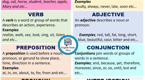 8 Parts Of Speech In English Parts Of Speech Definitions And Hot Sex