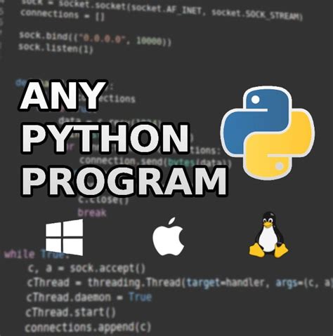write any python code for you by rattatteb fiverr