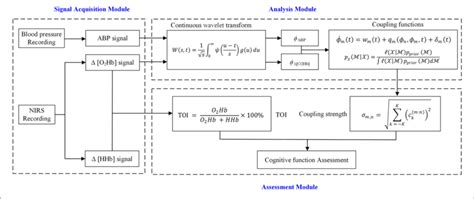 Overview Of Modeling Of Interaction Between Nirs And Abp Signals