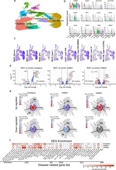 Single Cell Rna Seq Of E I Mixed Culture R451c Human Ins A Umap Of All