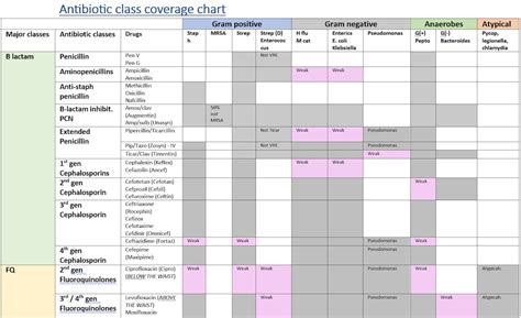 Antibiotic Coverage Chart Etsy