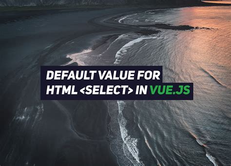 how to set a default value for an html tag in vue js renat galyamov