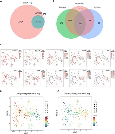 Frontiers Single Cell Transcriptome Analysis Reveals Six