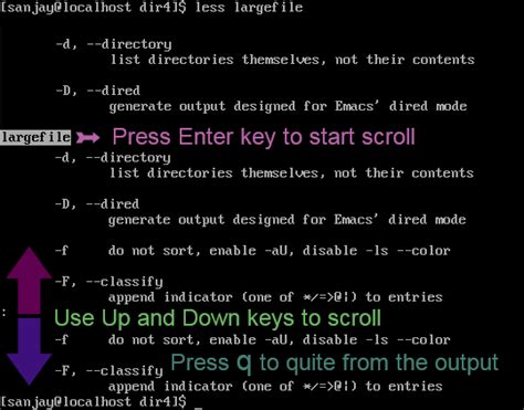 basic linux commands explained with examples