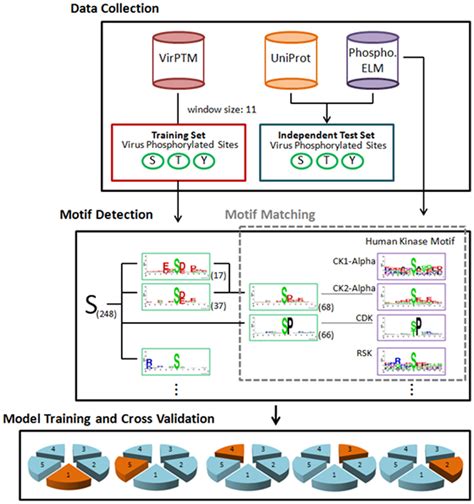 Analytical Flowchart The Proposed Method Involves Three Major Steps