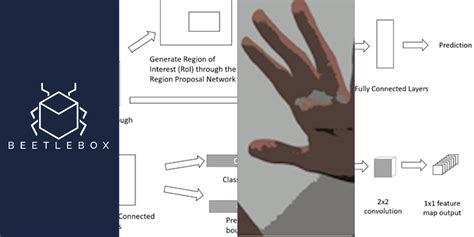 Sign Language Recognition Hand Object Detection Using R Cnn And Yolo