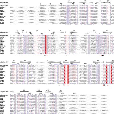 Substrate Binding Pockets Of Alpha Mmc A The Substrate Binding