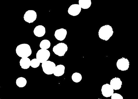 python detecting overlapping blobs in image