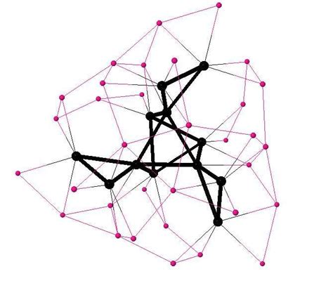 Color Online Magnetic Sites Of A The Trillium Lattice And B The