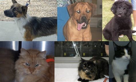 deploy production ready keras model with tensorflow