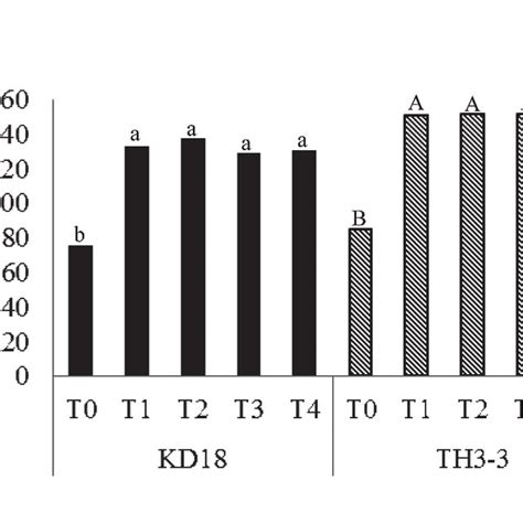 Dry Matter Weight With Differences In Nitrogen Application Timing