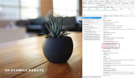 using gridpane nginx redis page caching gridpane
