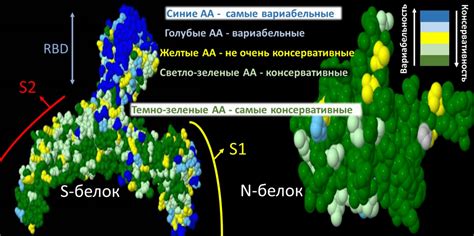 Сутки после вакцины Полет нормальный Пикабу