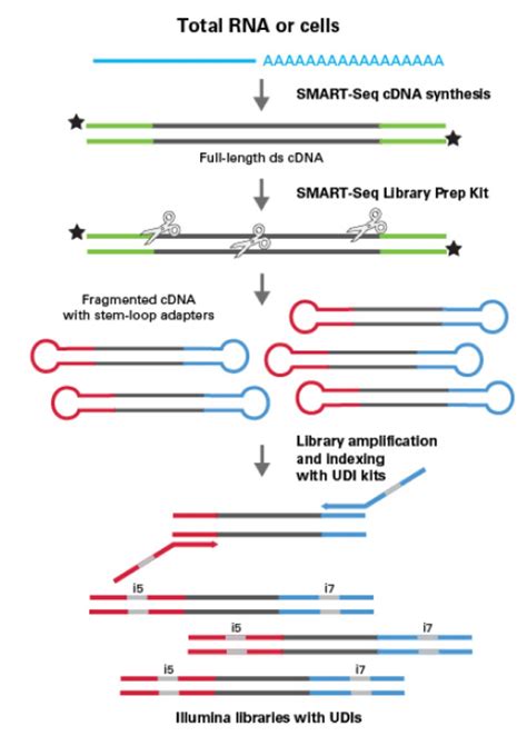 Ultra Low Input Mrnaseq Sequencing Service Cancer Genomics Center