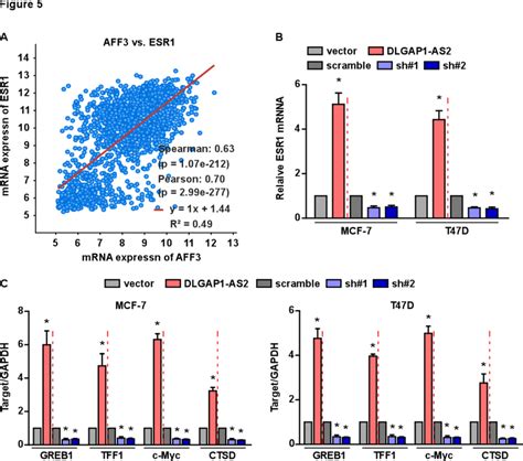 Dlgap1 As2 Can Regulate Er Signalling A The Esr1 Mrna Level Was