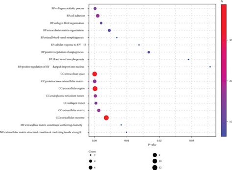 A The Dot Plots Of Go Enrichment Analysis B The Dot Plots Of Kegg