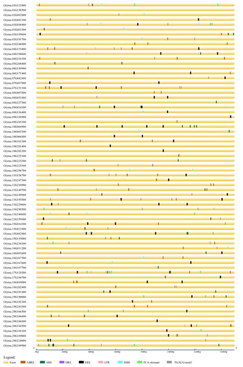 Predicted Cis Elements In The Promoter Regions 1 500 Bp Upstream From