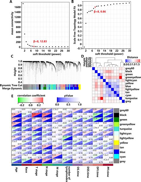 Integrated Analysis Of The Potential Roles Of Microrna Messenger Rna