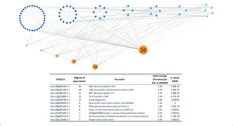 Network Analysis Cytoscape Showing The Most Highly Connected Genes
