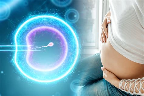 Qual é A Diferença Entre Inseminação Artificial E Fertilização In Vitro