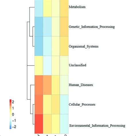 Heat Map Of Cog Function Classification Of Four Diet Treatments