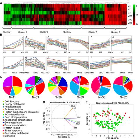 hierarchical clustering analysis of the identified proteins based on