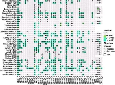Functional Annotation Of Noncoding Mutations In Cancer Life Science