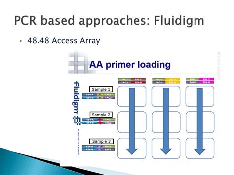 Ppt Next Generation Dna Sequencing Technologies Theory And Practice
