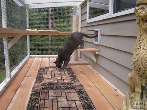 Catio Spaces Helps Cat Owners Build Safe Outdoor Havens For Their