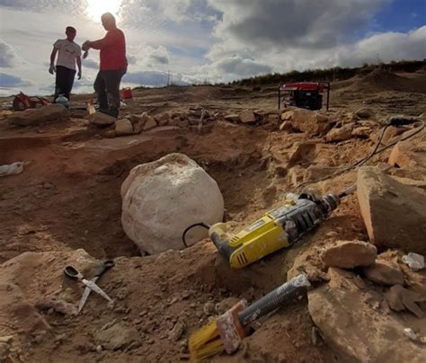 Oldest And Largest Predator In South America Discovered With 265
