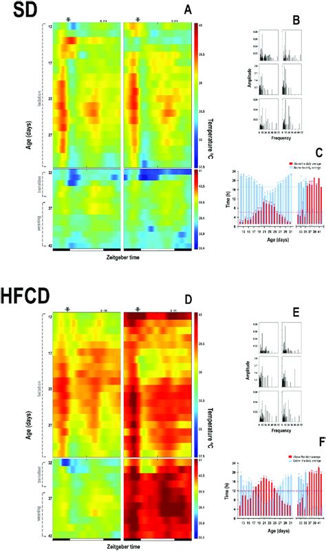Temporal Patterns Of Core Body Temperature Representative Daily