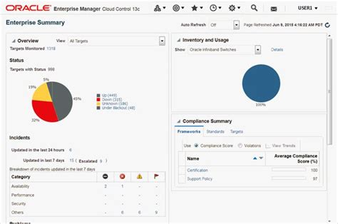database administration blu dots