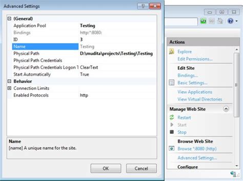 How To Host Asp Net Web Api On Iis Server