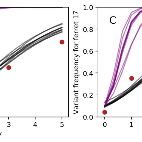 Deterministic Model Simulations Grey Lines And Observed Data Points