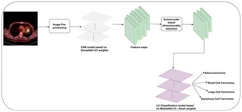 Applied Sciences Free Full Text Lung Cancer Detection Model Using