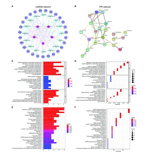 Gbm Specific Cerna Network Ppi Network And Functional Enrichment