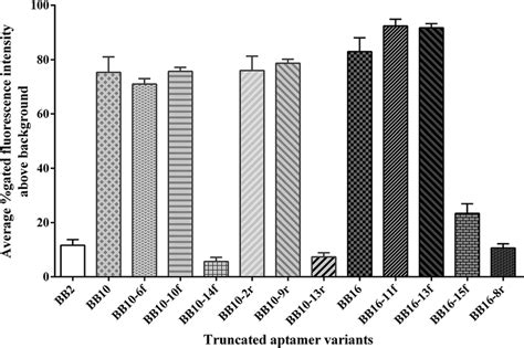 Binding Affinity Of The Truncated Aptamer Variants For The Target B