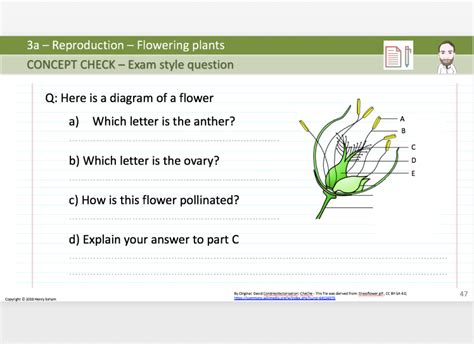 Section 3 Presentation Bundle Igcse 9 1 Biology