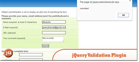 5 good jquery validate form demos sitepoint