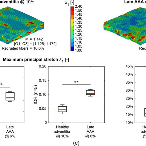 Distribution Of The Maximum Principal Stretches λ 1 A For Rves Of The